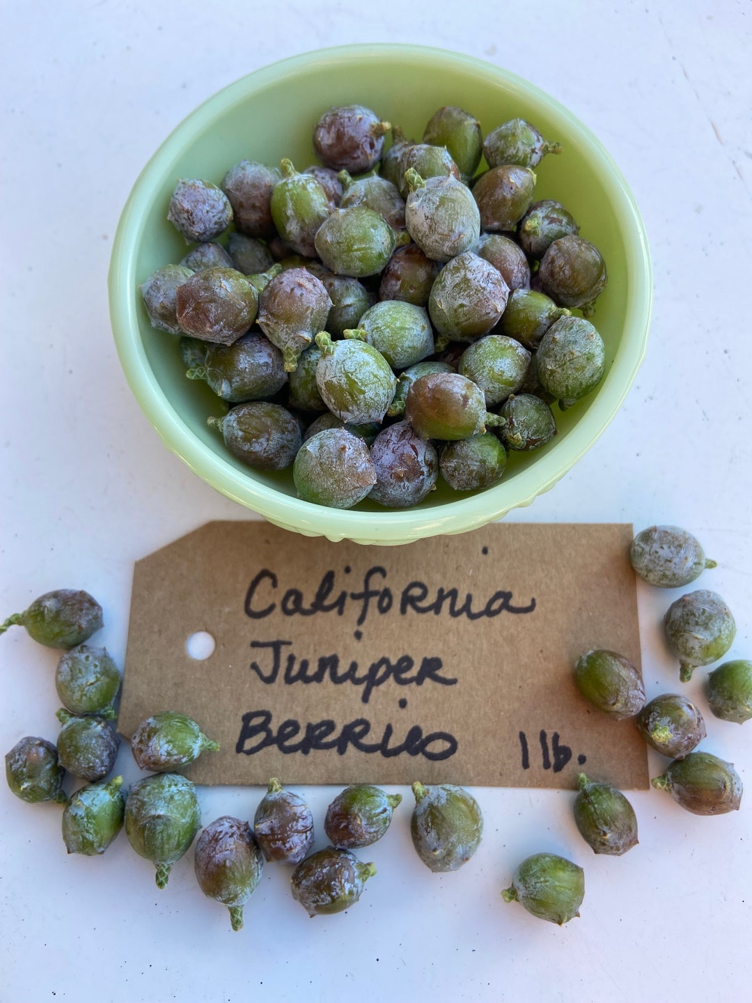 15 Lbs Fresh California Juniper Berries Wild Harvest, Dried Juniper ...