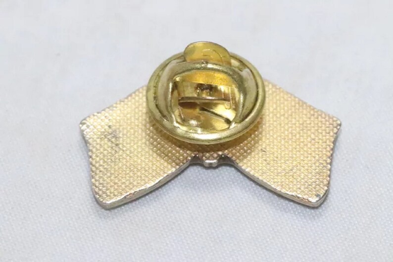 Vintage America Israel Flag Pin - Etsy