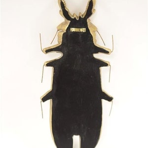 Beetle Wall Decor 14"x6", Golden Wall Decoration, Living Room Gift ...