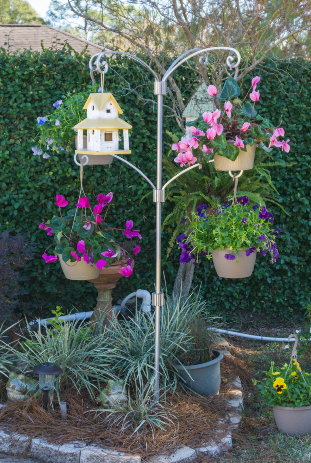 3-in-1 Plant Tree Combo - Complete Kit - Etsy