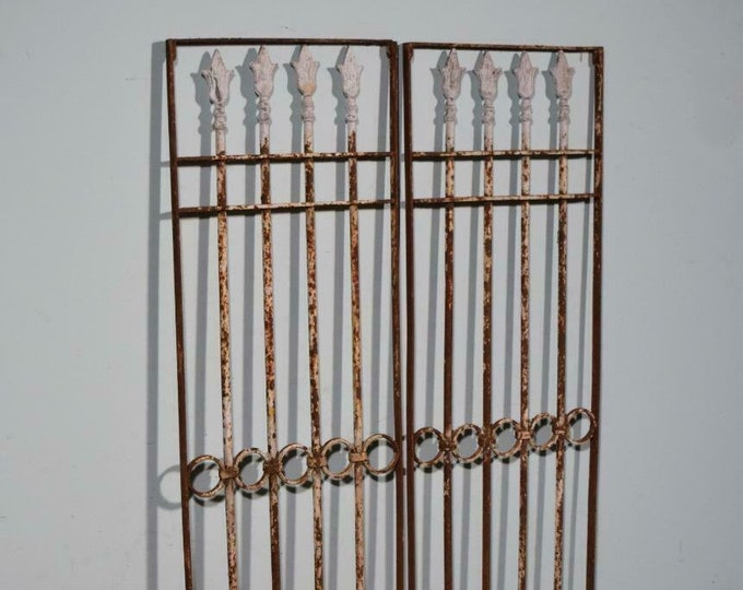 Large Antique French Iron Decorative Window Panels Salvage Garden - Etsy