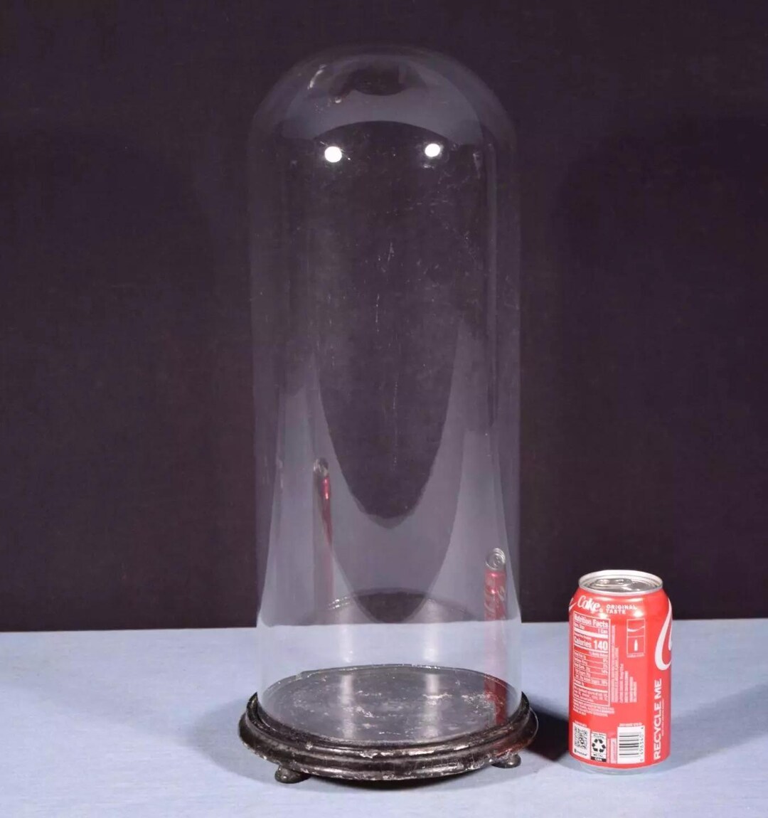 18" Tall Antique Round French Blown Glass Dome Display Case - Etsy