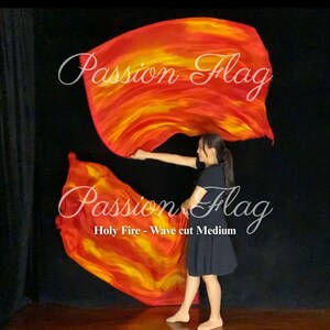 Holy Fire - Artisan Silk Hand Painted Praise and Worship Flag and ...