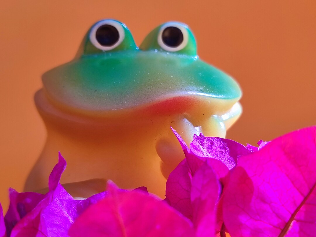 Vintage Soviet Era Squeaker Frog Toy Figure Classic Retro Toddler Toy ...