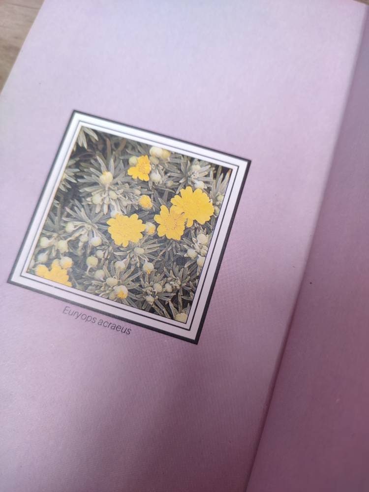 Illustrated Guide to Alpines Gardening Book London 1983 Flora - Etsy