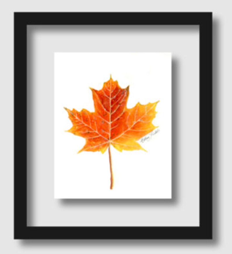 Maple Leaf Print || 5 X 7 || 8 X 10 || Giclée Print || Watercolor Art ...