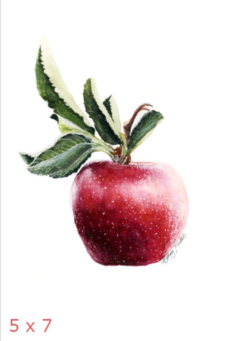 Fuji Apple Print 5 X 7 8 X 10 Giclée Print - Etsy