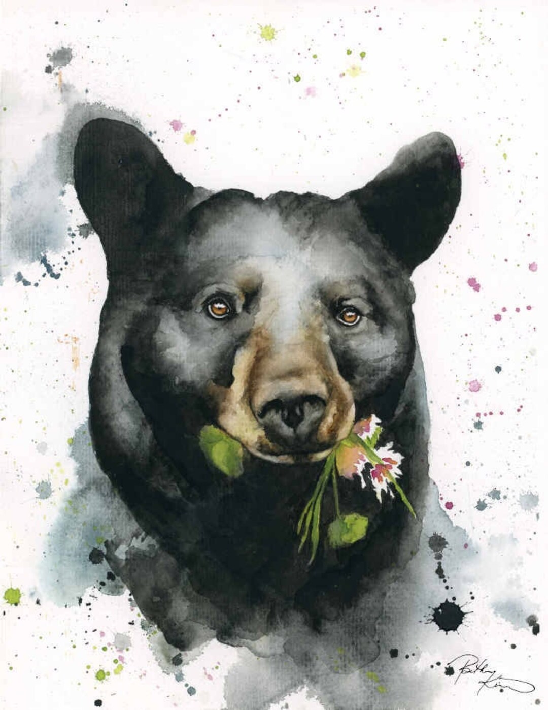 Black Bear Print || 8 X 10 || 8 X 12 || Giclee Print || Wrapped Canvas ...