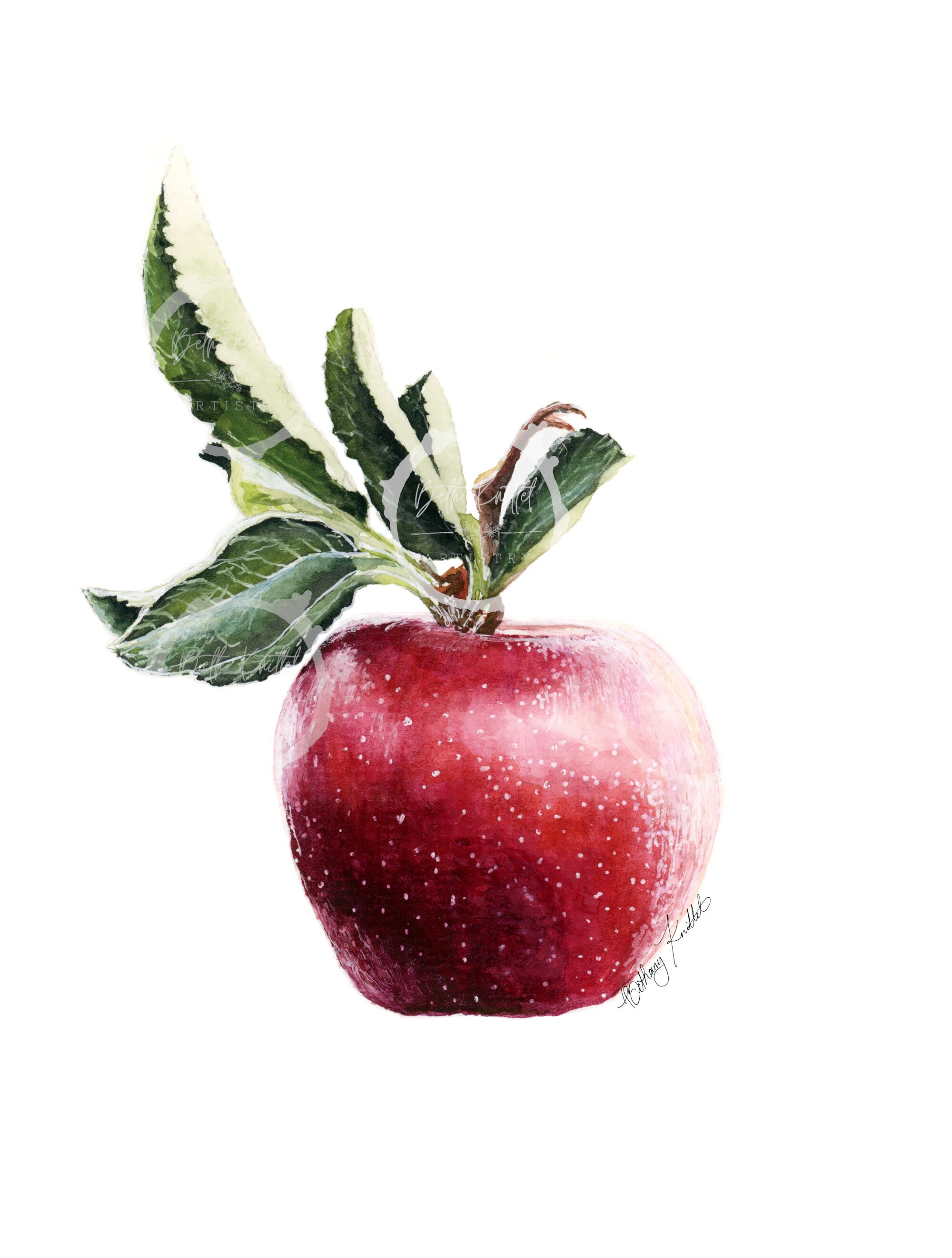 Fuji Apple Print 5 X 7 8 X 10 Giclée Print - Etsy