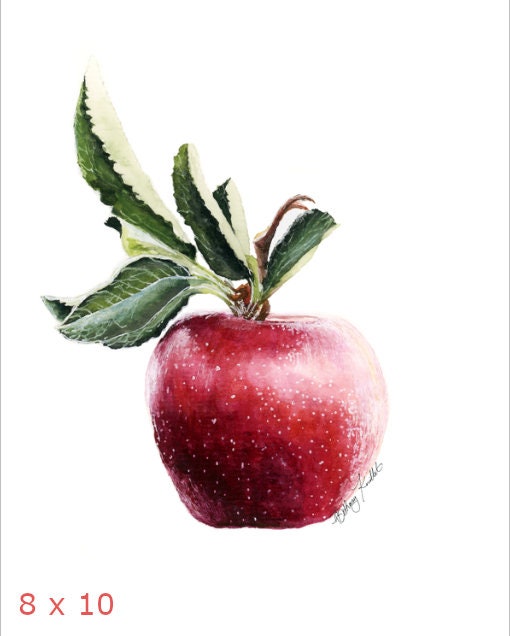 Fuji Apple Print 5 X 7 8 X 10 Giclée Print - Etsy