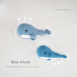 PDF Pattern-crochet Amigurumi | Whale Pattern Digital Download in ...
