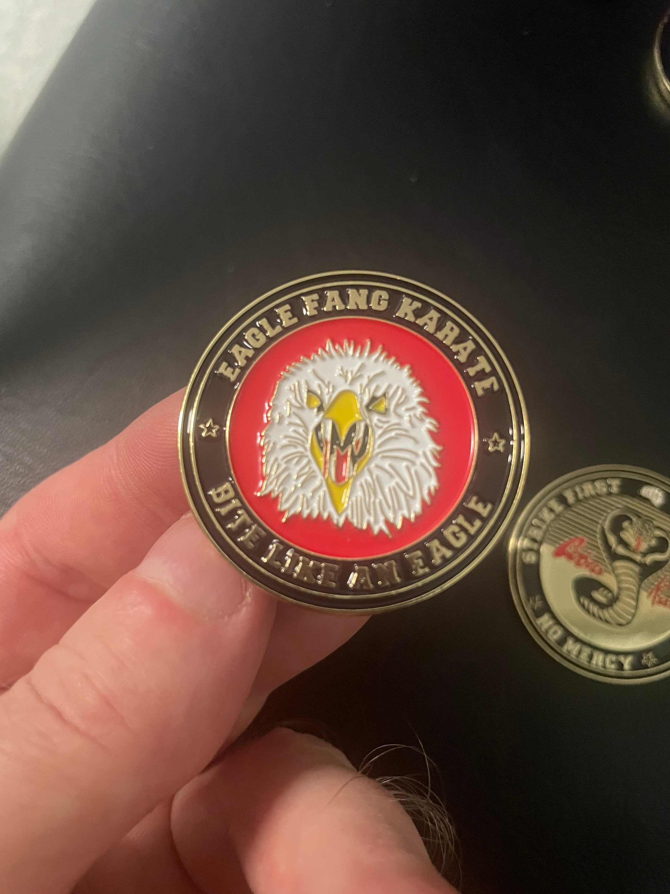 Cobra Kai / Eagle Fang Karate Challenge Coin - Etsy