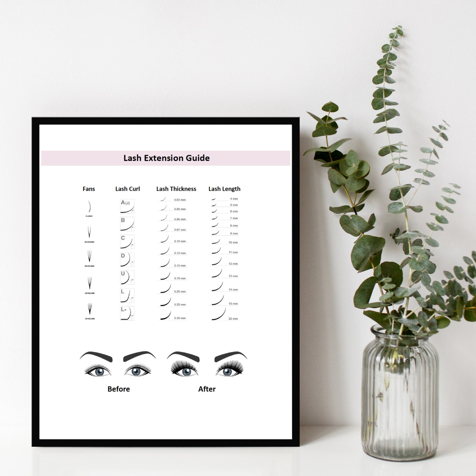 Eyelash Extension Guide Lash Extension Guide Lash Business - Etsy