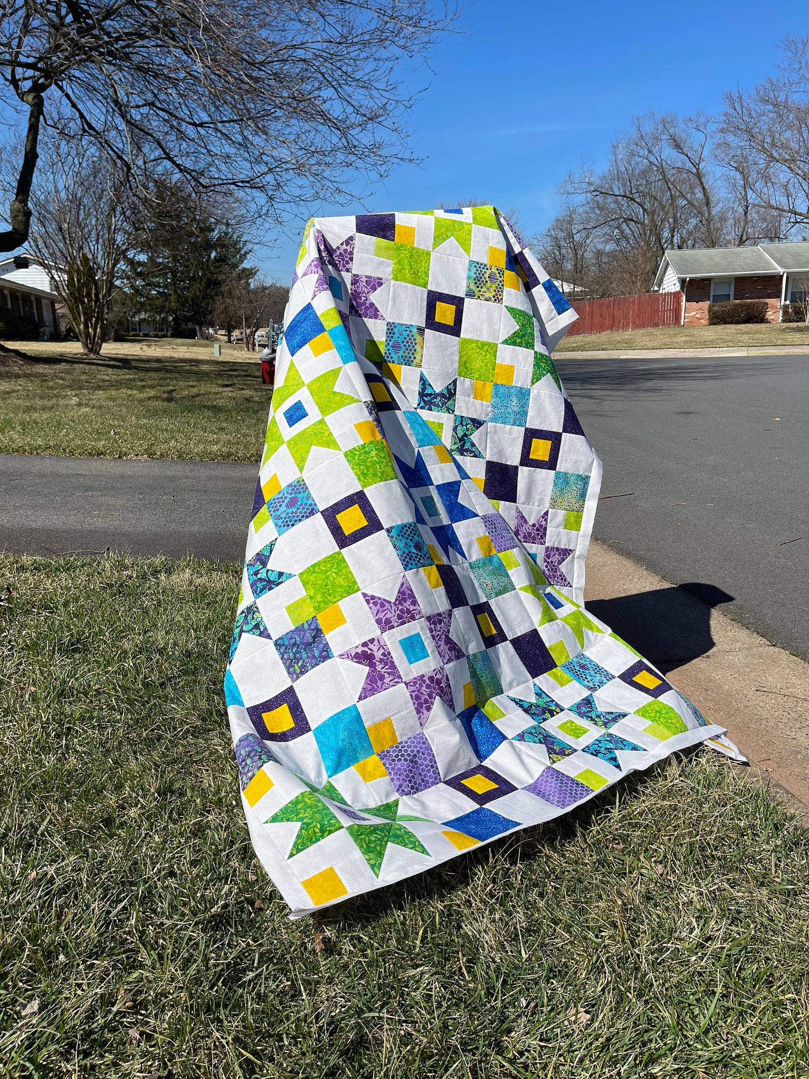 Arabella's Garden Digital Quilt Pattern - Etsy