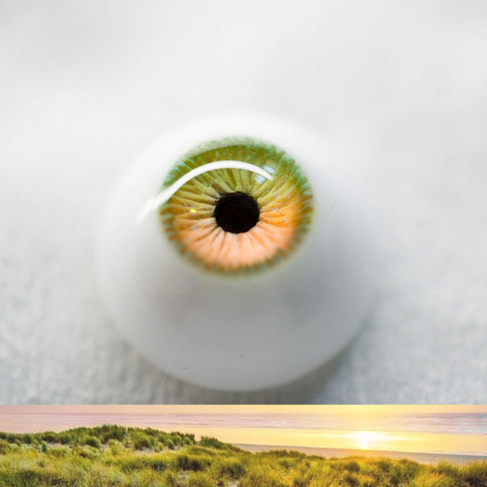 Realistic Eyes Resin Eyesball Jointed Doll Eyes10mm 24mm - Etsy