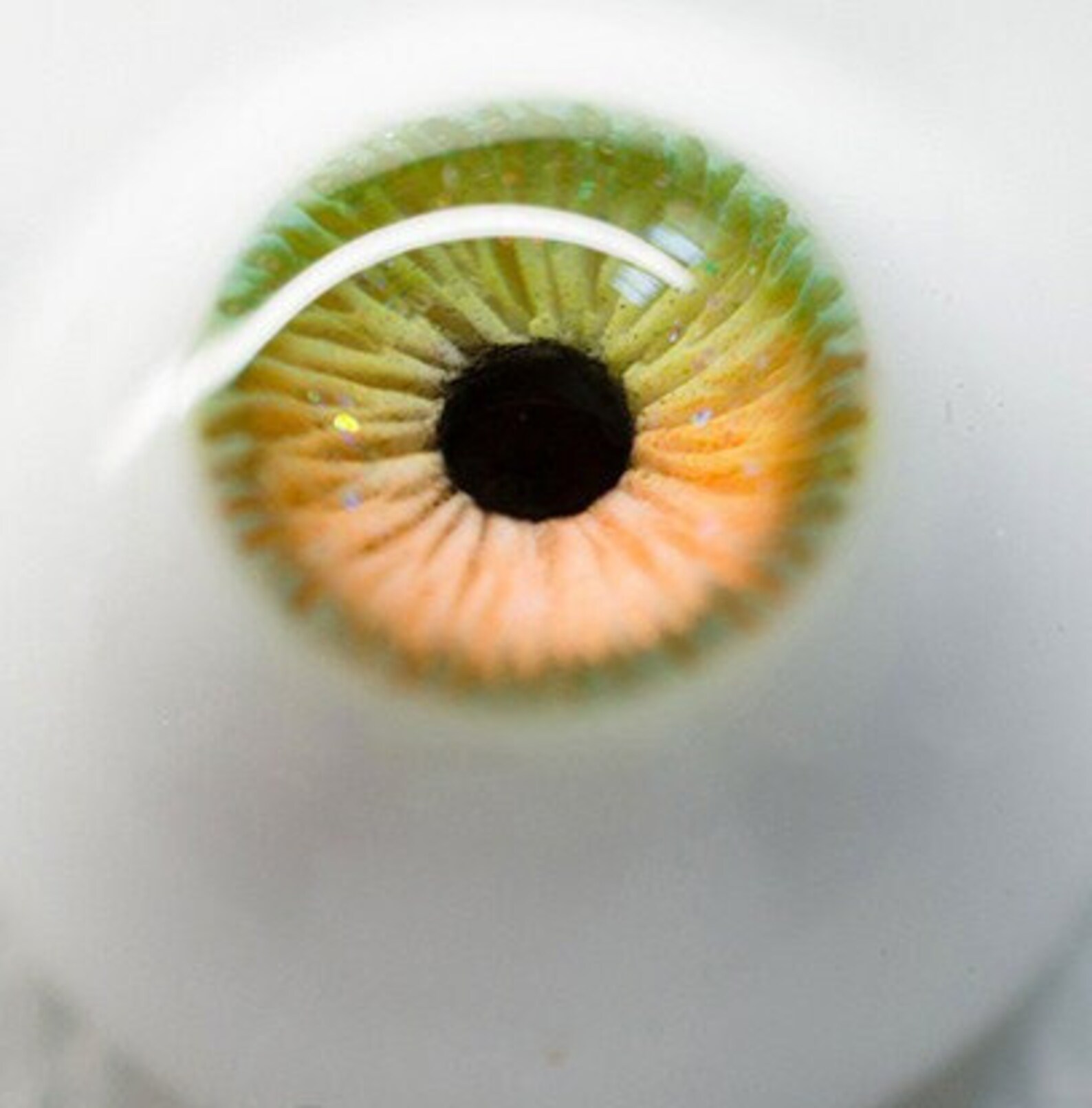 Realistic Eyes Resin Eyes,ball Jointed Doll Eyes,10mm - 24mm Bjd Eyes ...
