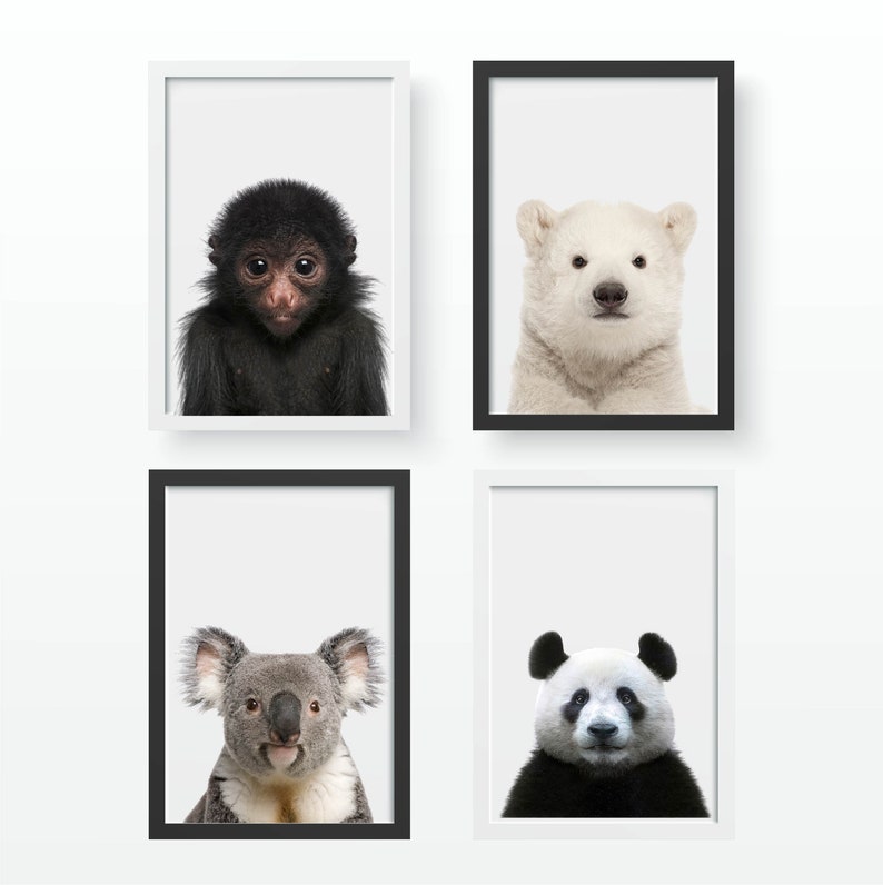 Polar Bear Print - Etsy