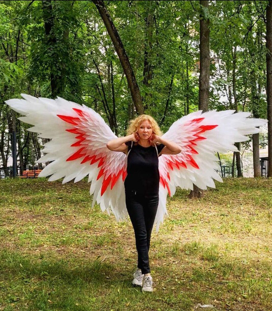 Angel Wings, Costume Wings, Cosplay Wings, Party Wings, Dance Wings ...