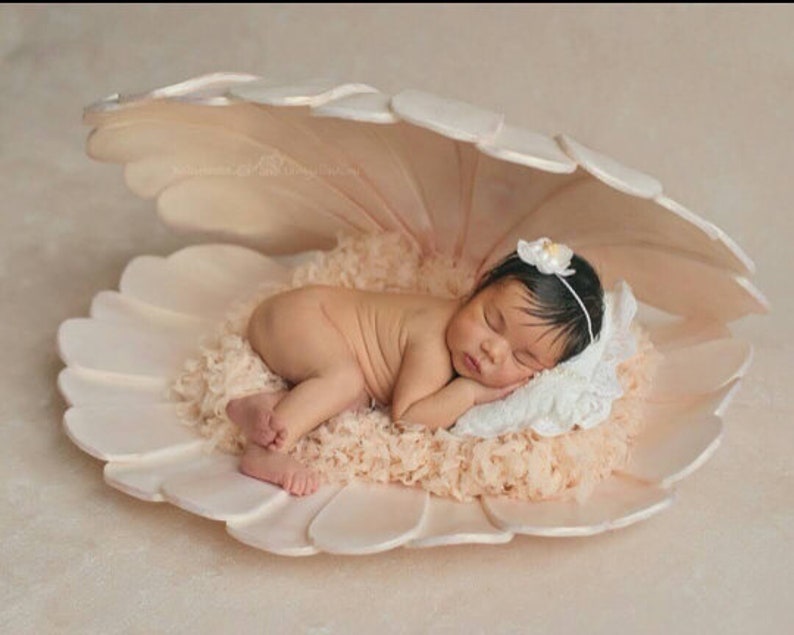 Baby Shell for Newborn Photo Shoots-newborn Photo Props-giant - Etsy