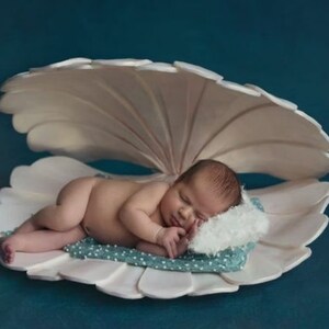 Baby Shell for Newborn Photo Shoots-newborn Photo Props-giant Shell ...