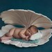Baby Shell for Newborn Photo Shoots-newborn Photo Props-giant Shell ...