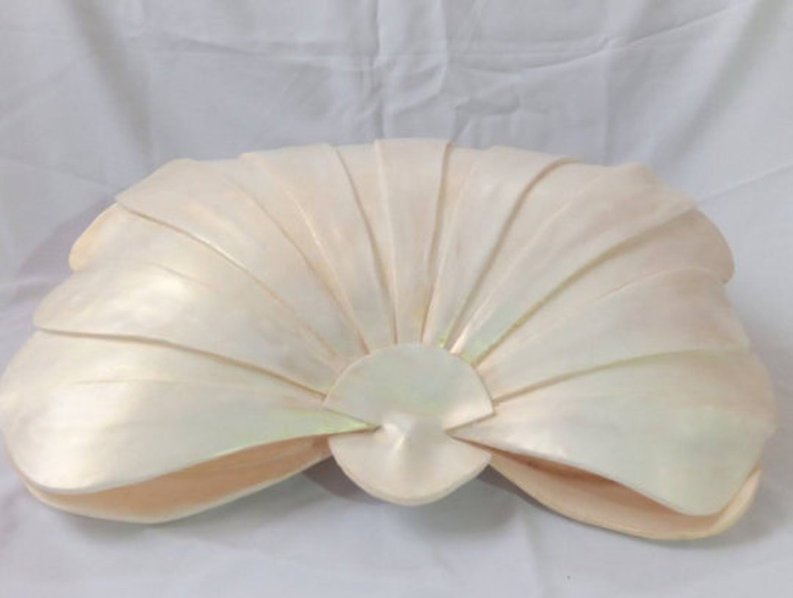 Baby Shell for Newborn Photo Shoots-newborn Photo Props-giant - Etsy