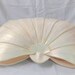 Baby Shell for Newborn Photo Shoots-newborn Photo Props-giant Shell ...
