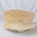 Baby Shell for Newborn Photo Shoots-newborn Photo Props-giant Shell ...
