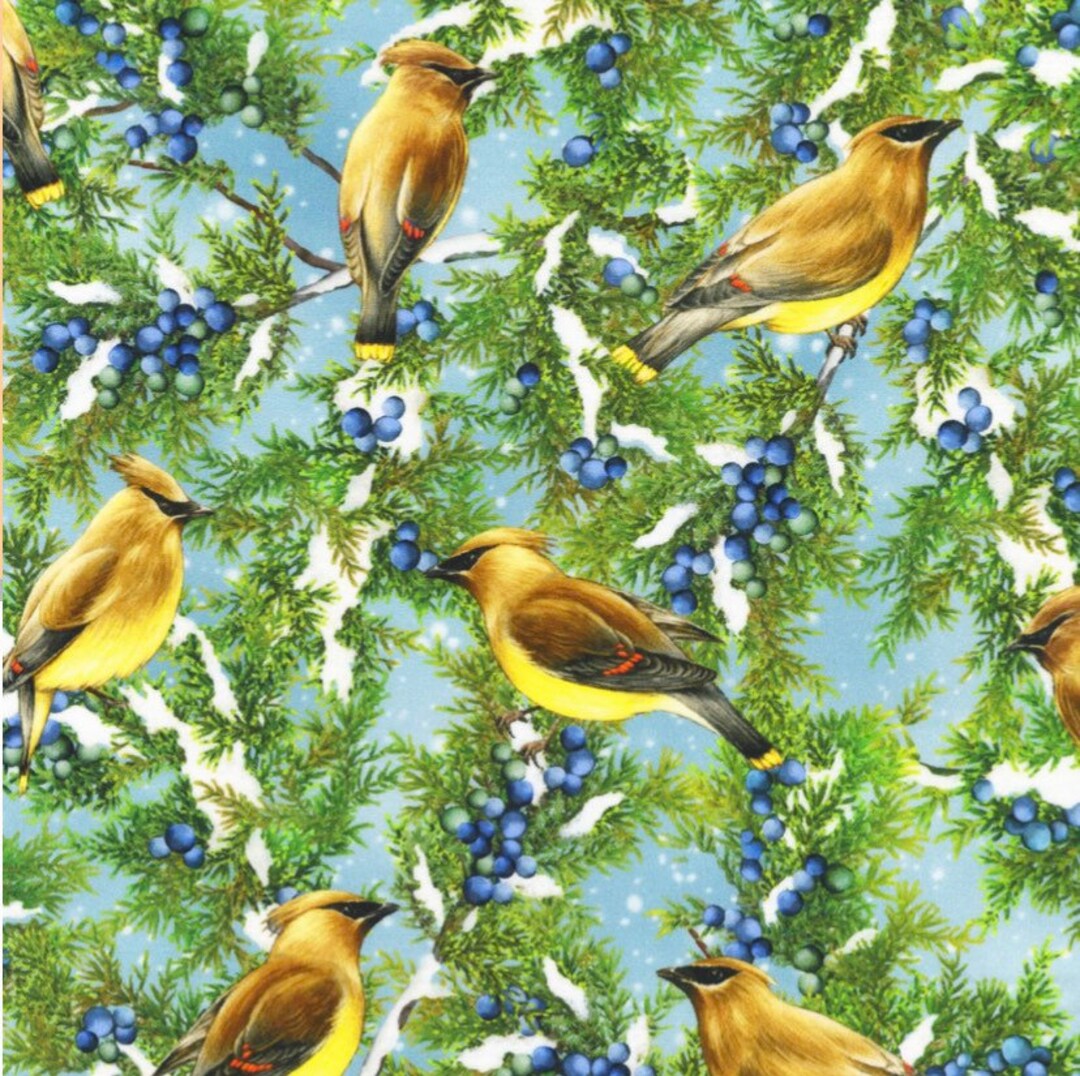 Cedar Waxwing Bird Fabric | Winter Visitors Fabric | Bird Fabric ...