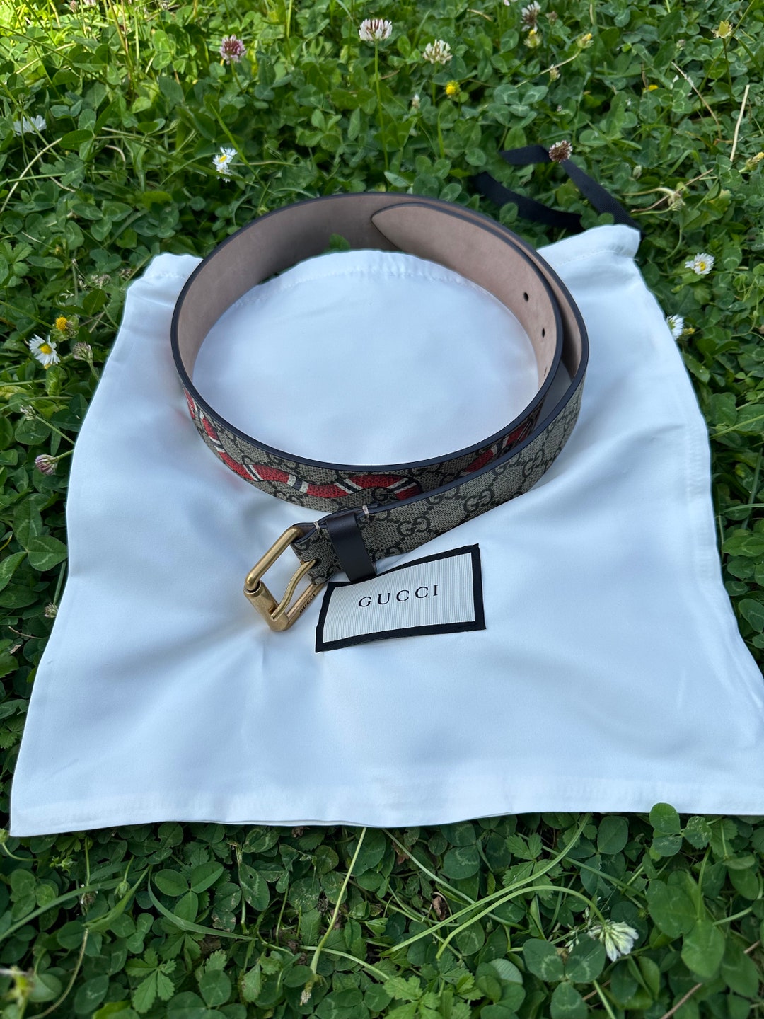Authentic Belt Gucci Monogram/brown Beige Belt Leather/gucci Snake Belt/fashion Design Snake ...