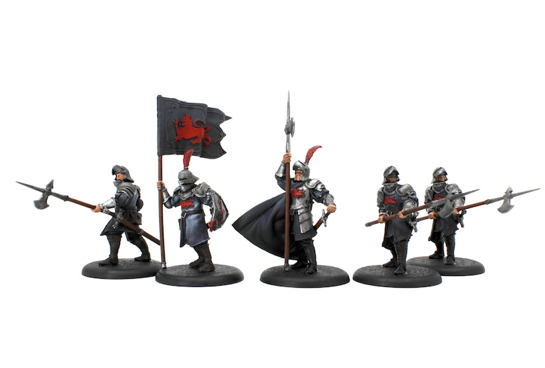 Painted Townsguard / Soldiers / Halberd Unit for DnD / | Etsy