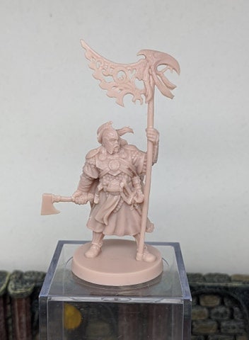 Toys & Games Toys frostgrave DnD Karrash the shadow death Werewolf ...