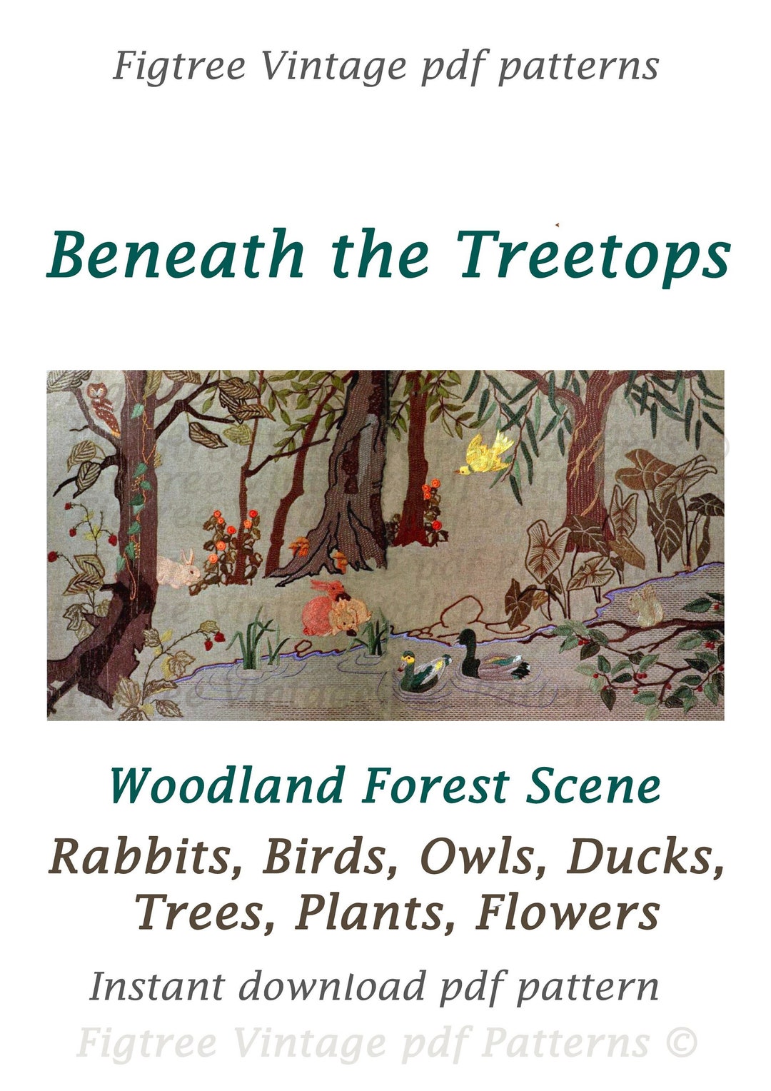 Forest Woodland Beneath the Treetops, Birds, Plants, Forest Floor Magic ...