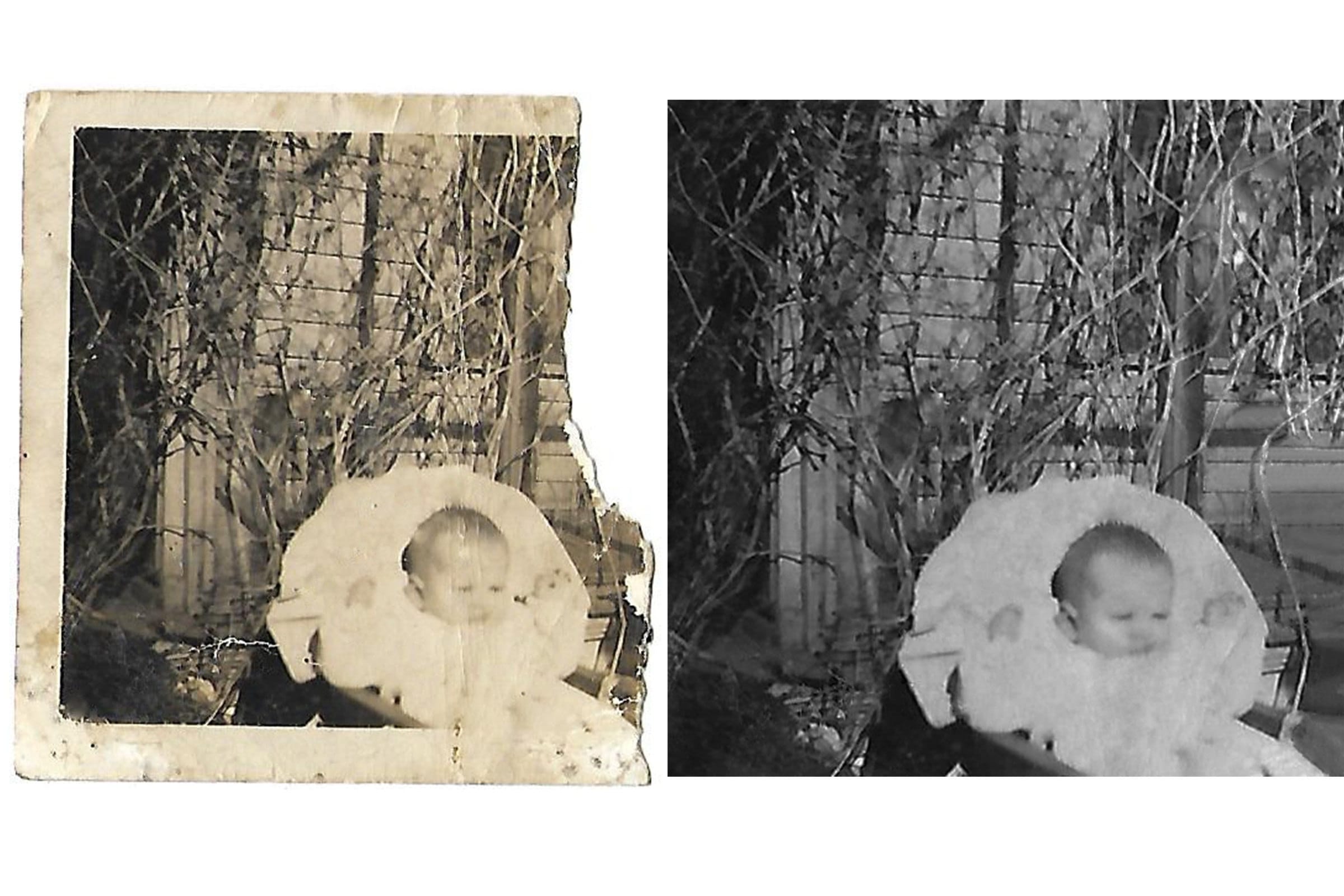 Old Damaged Photographs Of Babies