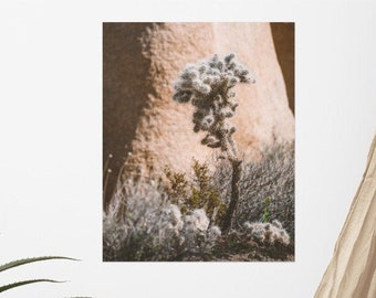 Lone Tree Large Photo Print Nature Photography Wall Art | Etsy