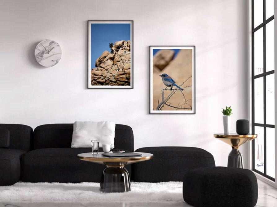 Lone Tree Large Photo Print Nature Photography Wall Art - Etsy