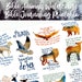 Animals and Verses Bible Journaling Set | Watercolor Animals & Crosses ...