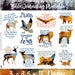 Animals and Verses Bible Journaling Set | Watercolor Animals & Crosses ...