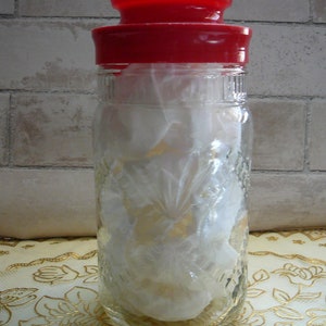 Vintage Tang Canister Jar With Red Lid by Anchor Hocking 1 QT. | Etsy