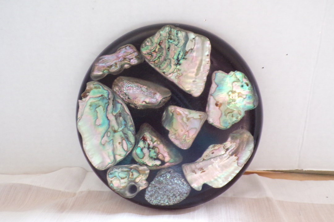 Vintage Abalone Shells Footed Trivet, Acrylic Abalone Shell Black ...