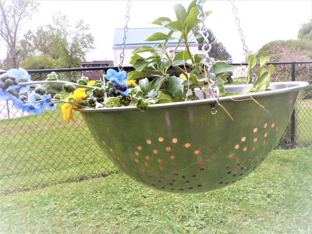 Colander Flower Planter, Stainless Steel Strainer 12 Round X 5 Tall ...