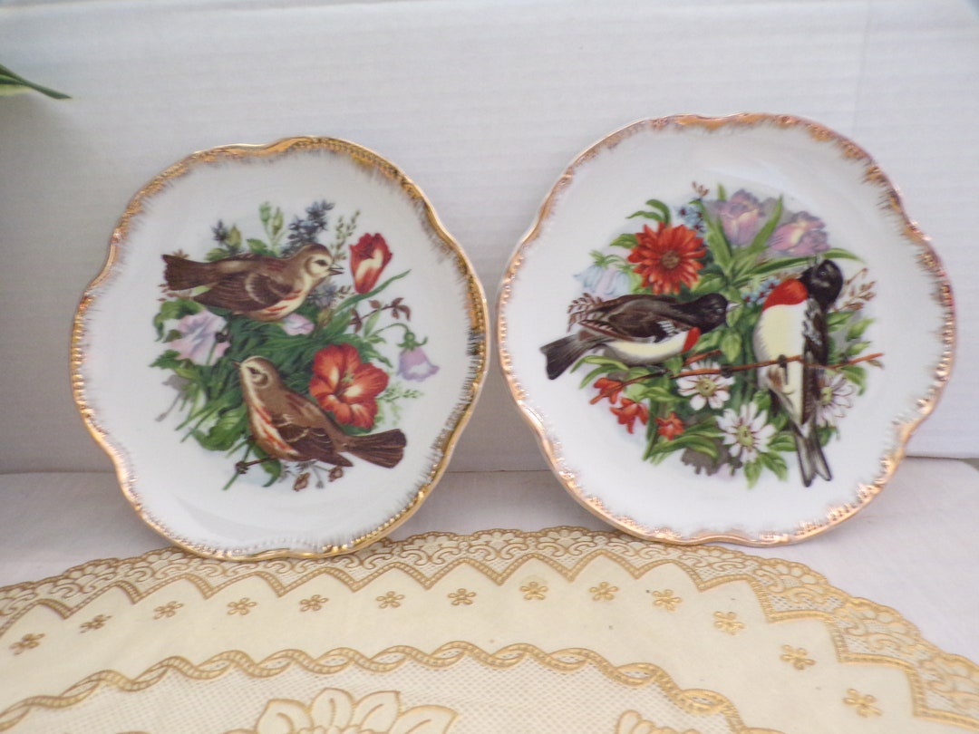 Vintage North America Grosbeak and the American Robin Birds in a Bed of ...