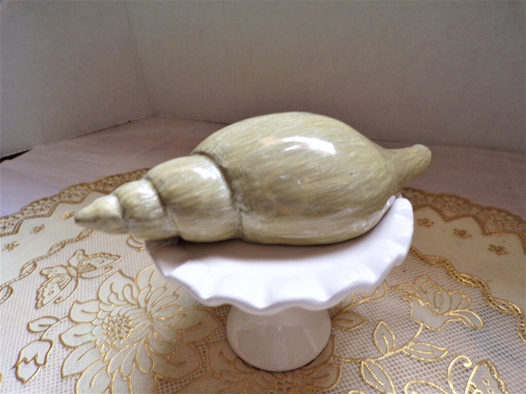Heavy Paperweight Conch Seashell Painted Metal Paperweight, 6 X 3 ...