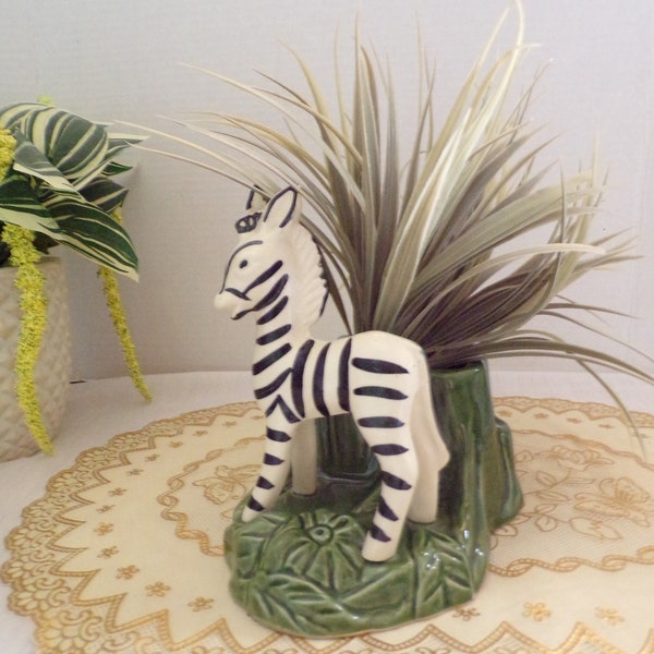 Zebra Vases - Etsy