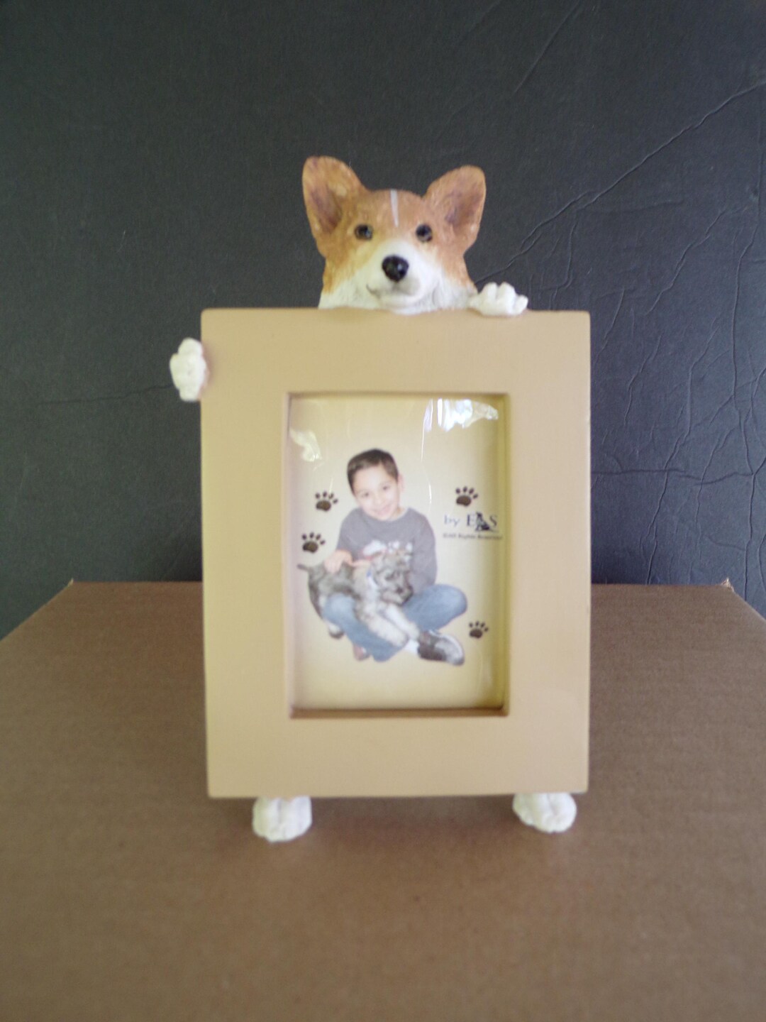 Dog Breeds Photo Frame of Your Most Favorite 4 Legged Friend, Hard ...
