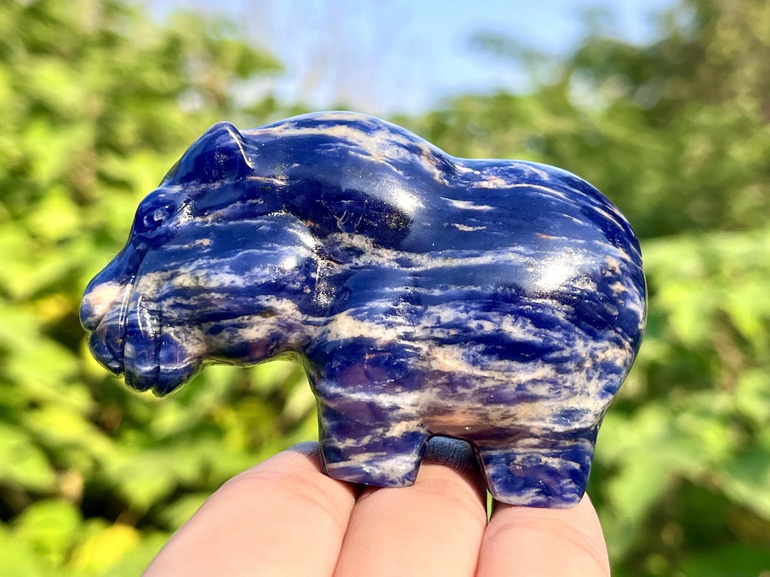 3" Natural Sodalite Carved Hippo,quartz Crystal Skull,hippo Statue ...