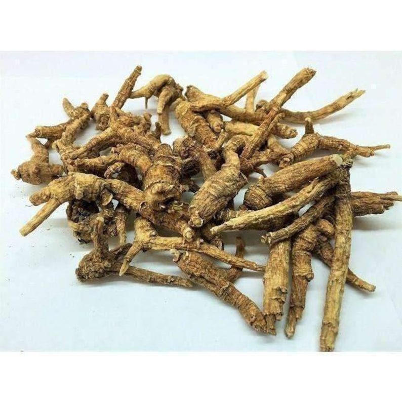 Premium American Ginseng Root-original Root (4oz) - Etsy