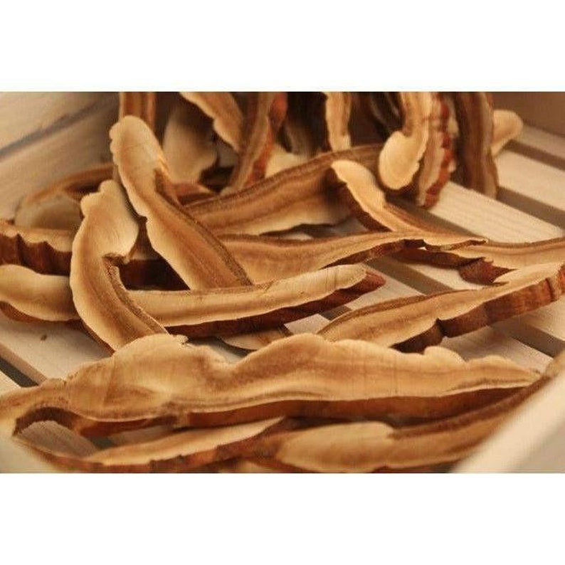 Japan Red Reishi Mushroom Sliced 1 Lb - Etsy