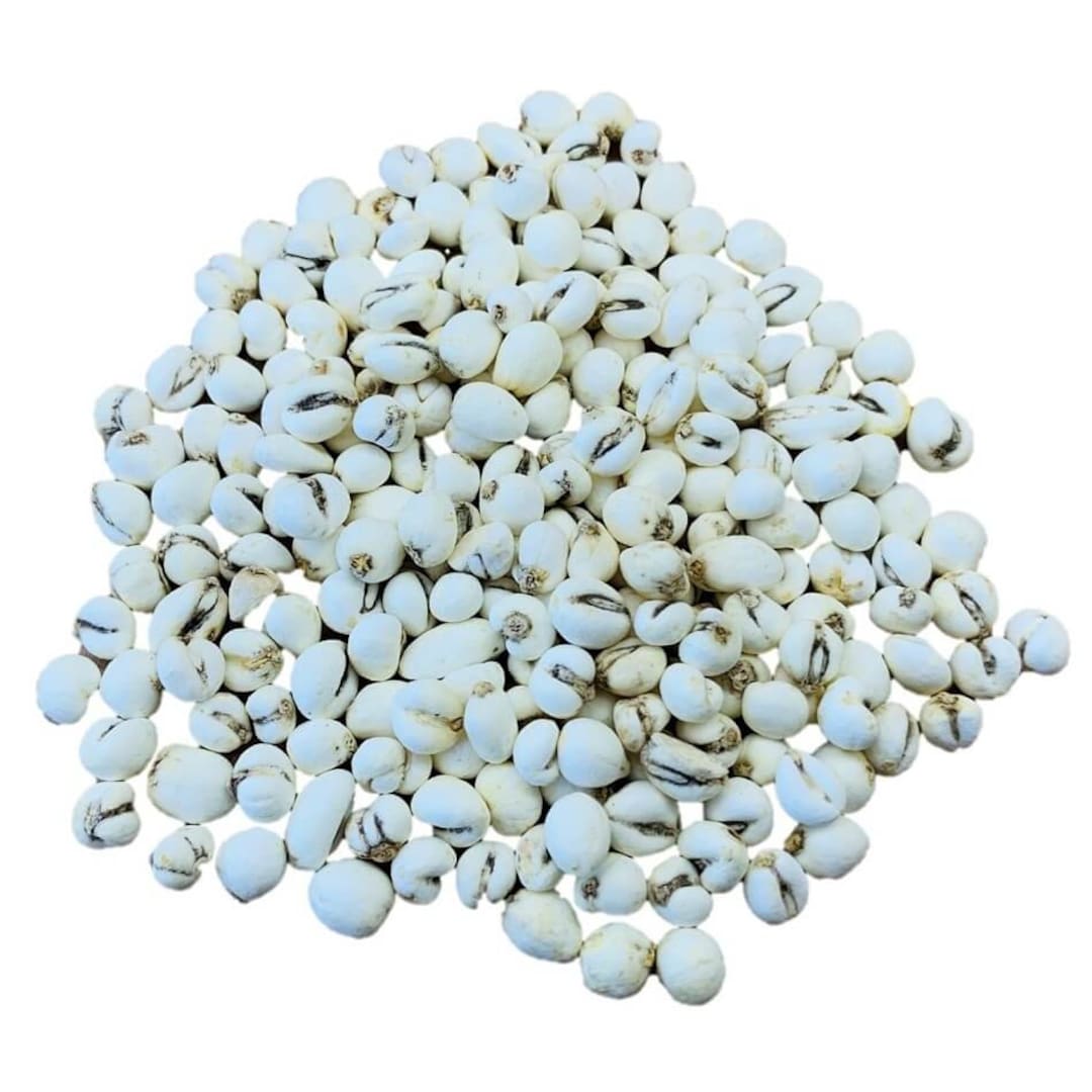 Dried Herb Wild Chuan Bei Mu, Fritillary Bulb - Etsy