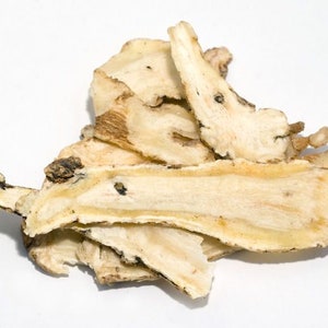 Dried Sliced Dang Gui/angelica/dong Quai - Etsy